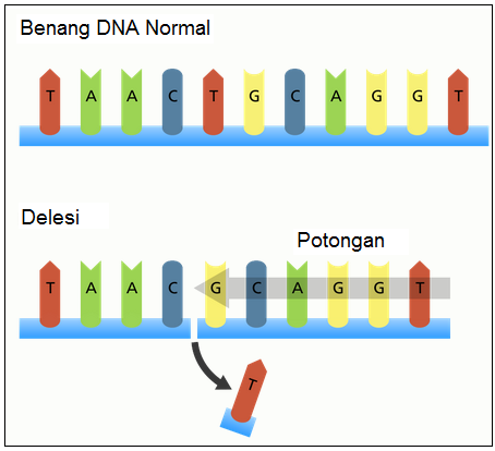 Catatan prestasi Guru Biologi: SMALL MUTATION