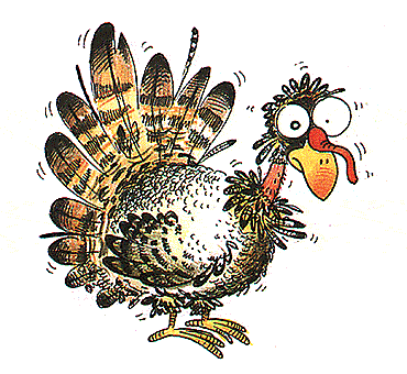 CALEA AURIE: CURCA VECINULUI