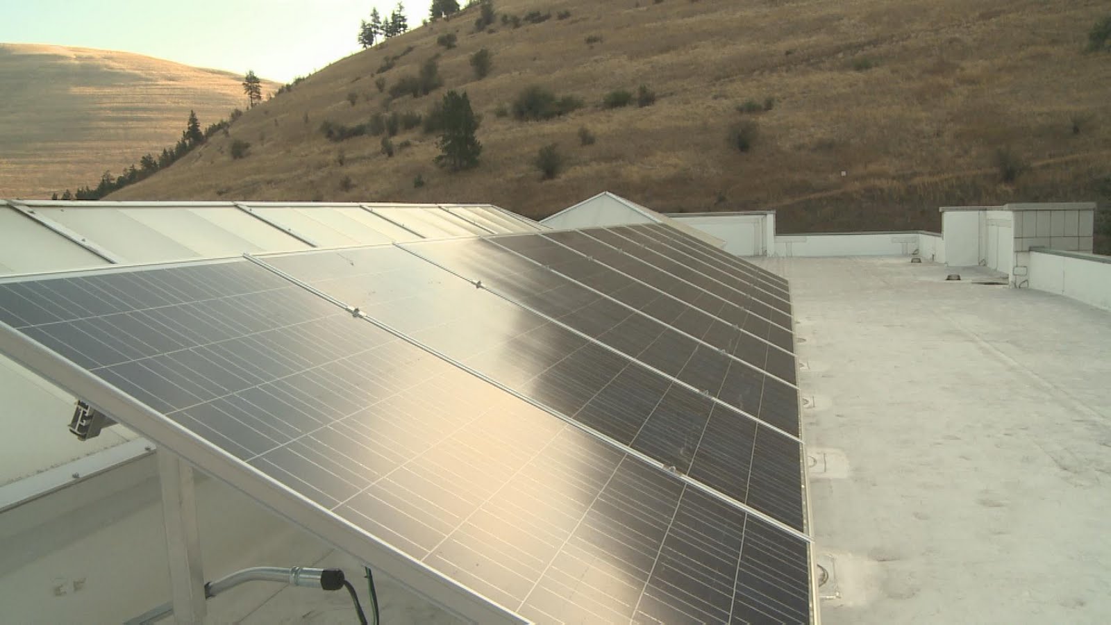 UM News: New solar panels generate sustainable energy for Todd Building