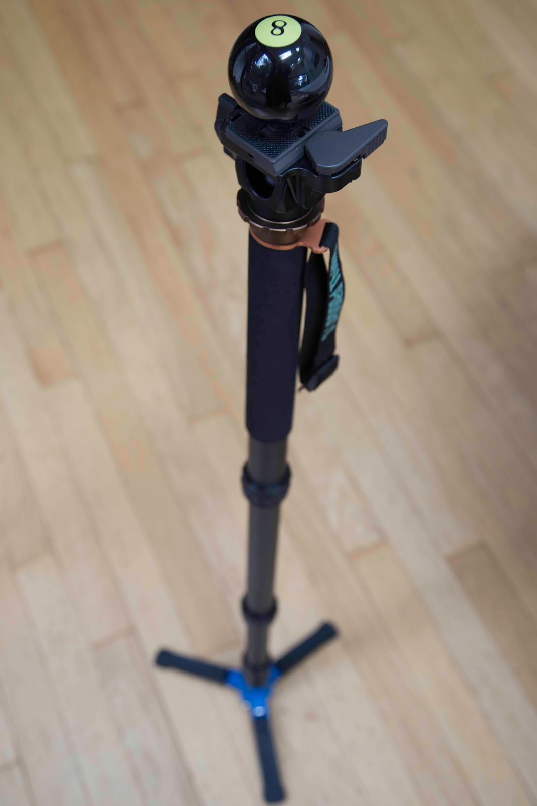 Isaac Ber Photography: Mono-Cane