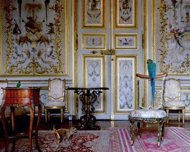 loveisspeed.......: Château Animals by Karen Knorr