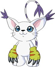 patamon e tailmon: TAILMON