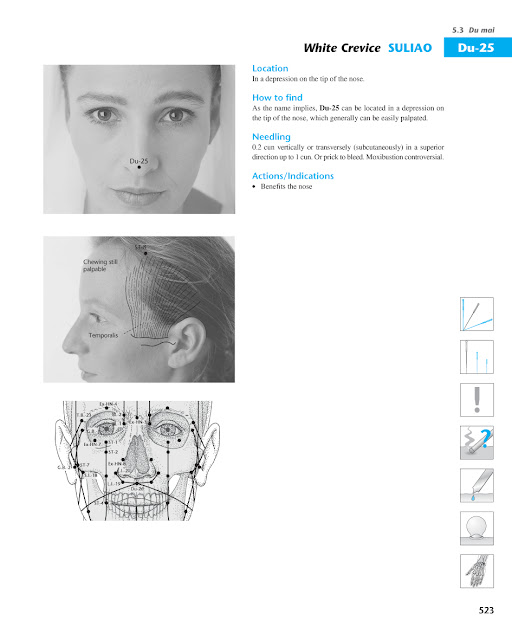Acupuncture Masters: Acupuncture Points Database - Du Channel