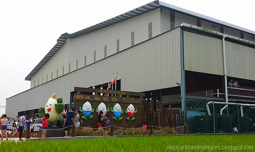 Sekinchan : Paddy Fields Of Green | Elephants & Mangoes