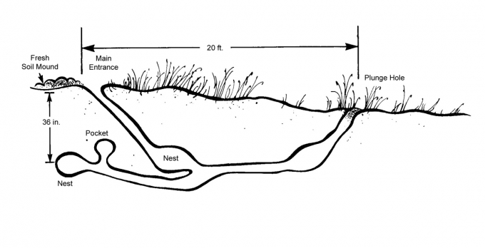 ASC - Children's Religious Education (CRE): Den Dwellers