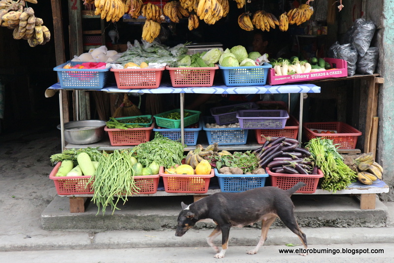 el toro bumingo: Faces of Nagpayong, Pinagbuhatan, Pasig City