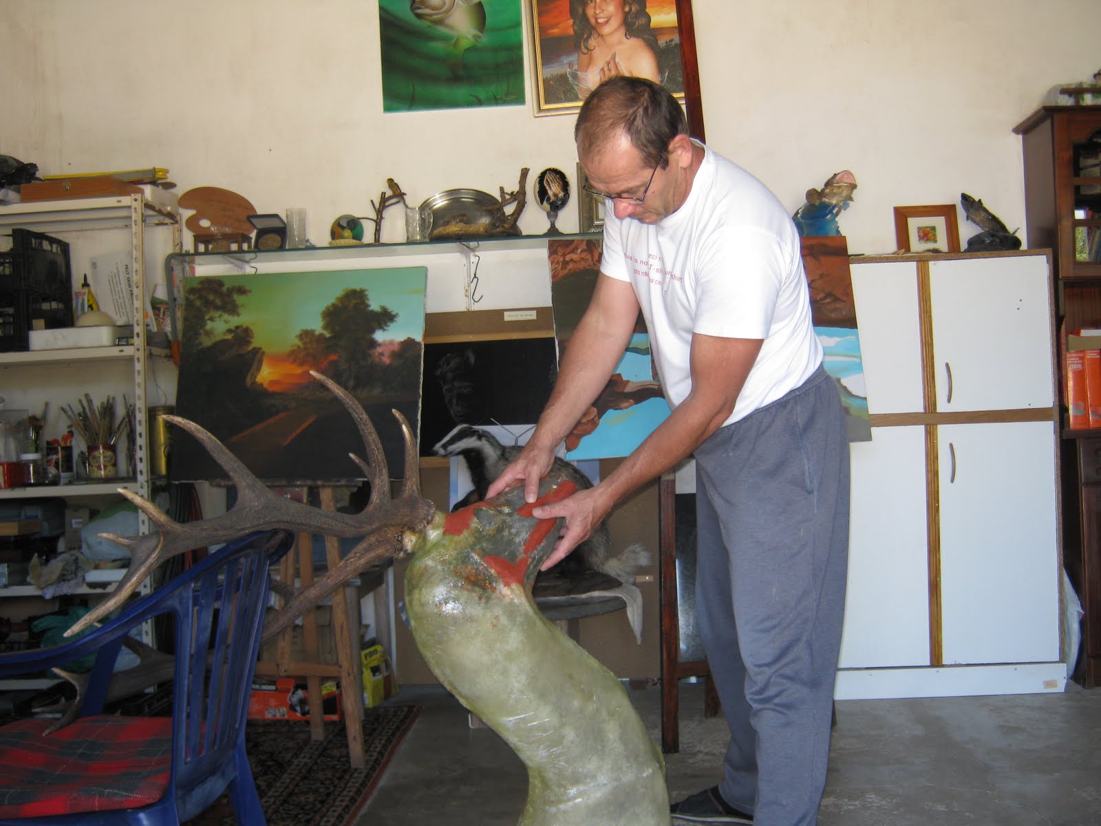 TAXIDERMIA: Animais Embalsamados