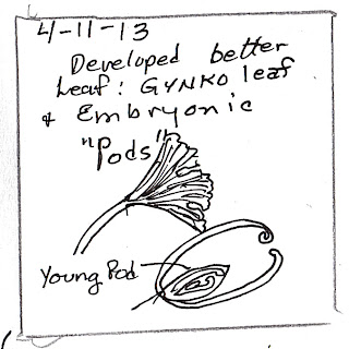 The Mooka Maven: EVOLUTION OF MY MOOKAS Part 3: Mooka leaves