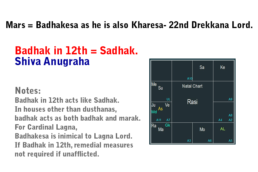 Hindu Astrology: Doshas and Prayascitta 1
