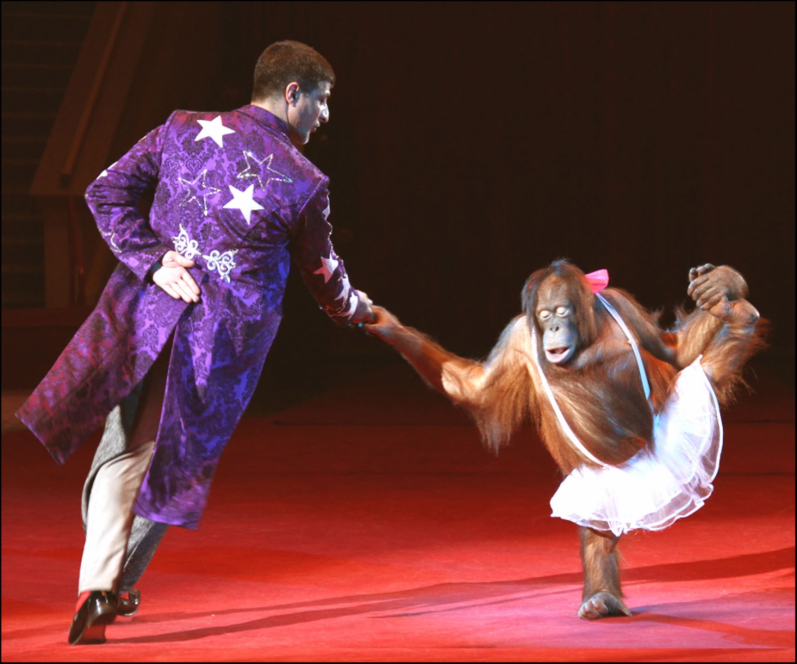 Buckles Blog: APES #4