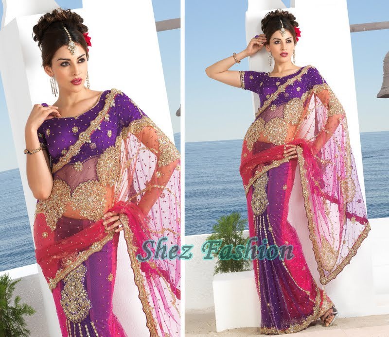 Shez Fashion: Net Embroidered Saree 2012-2012 | Latest Embroidred Sari ...