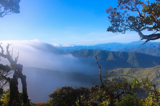 Baron the Explorer: Benguet’s Highest Peak : Mt. Timbak and Mt. Tabayoc