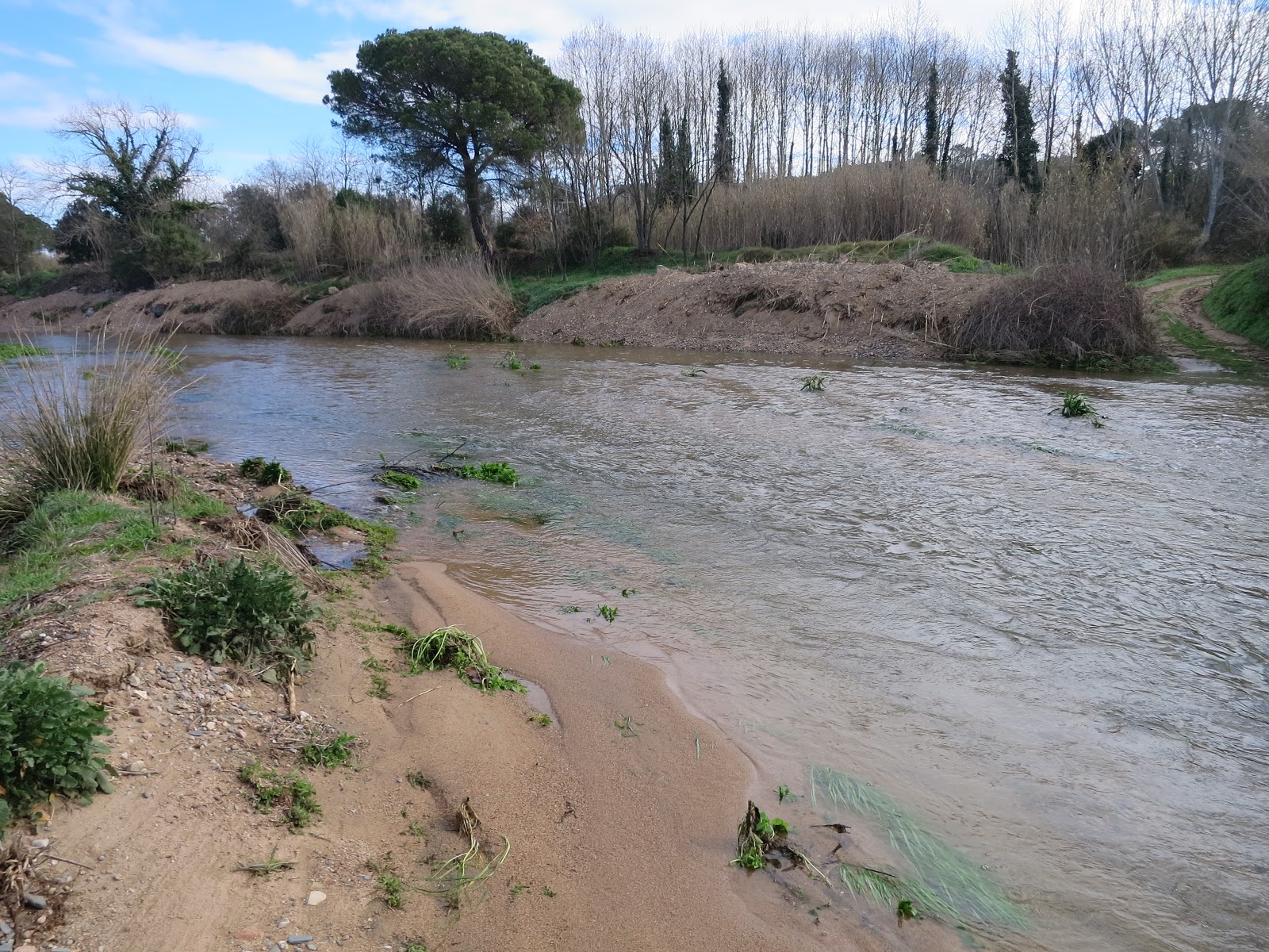 La Natura a la Baixa Tordera: Riu Tordera a l'alçada de La Júlia ...