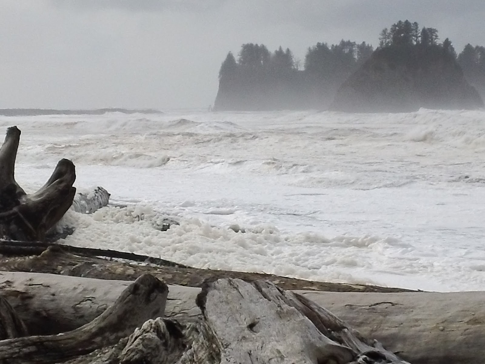 Forks and the West End, Olympic Peninsula, Washington, US: Stormy