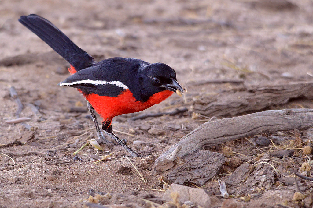 A tale of two rivers