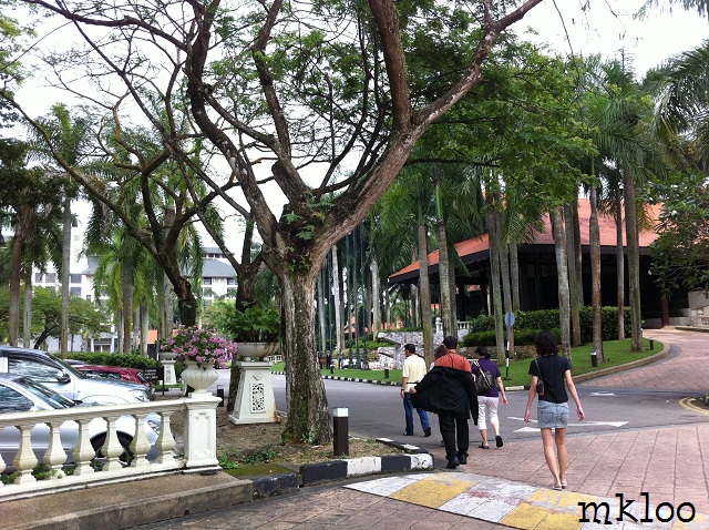 Pn Tay's Blog: Pulai Springs Golf Resort Christmas Escape!