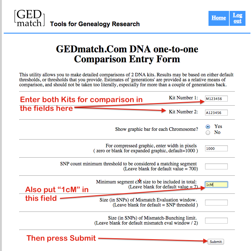 Roots & Recombinant DNA: Ethnicity Chromosome Mapping & Determining ...