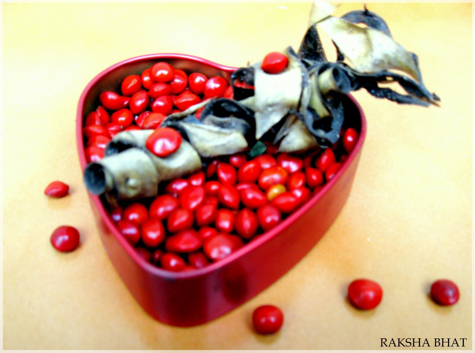 A CANARY'S DIARY: April 2011