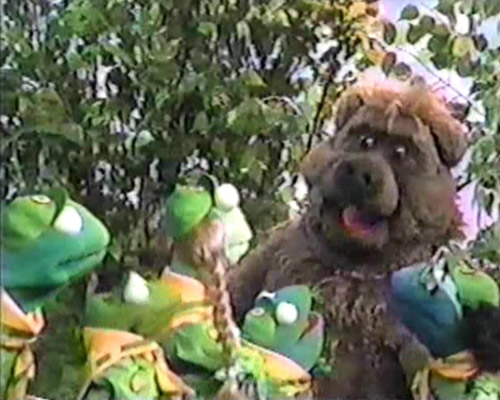 A Much Deeper Level: Be Prepared in Mind, Body, and Webbed-Feet