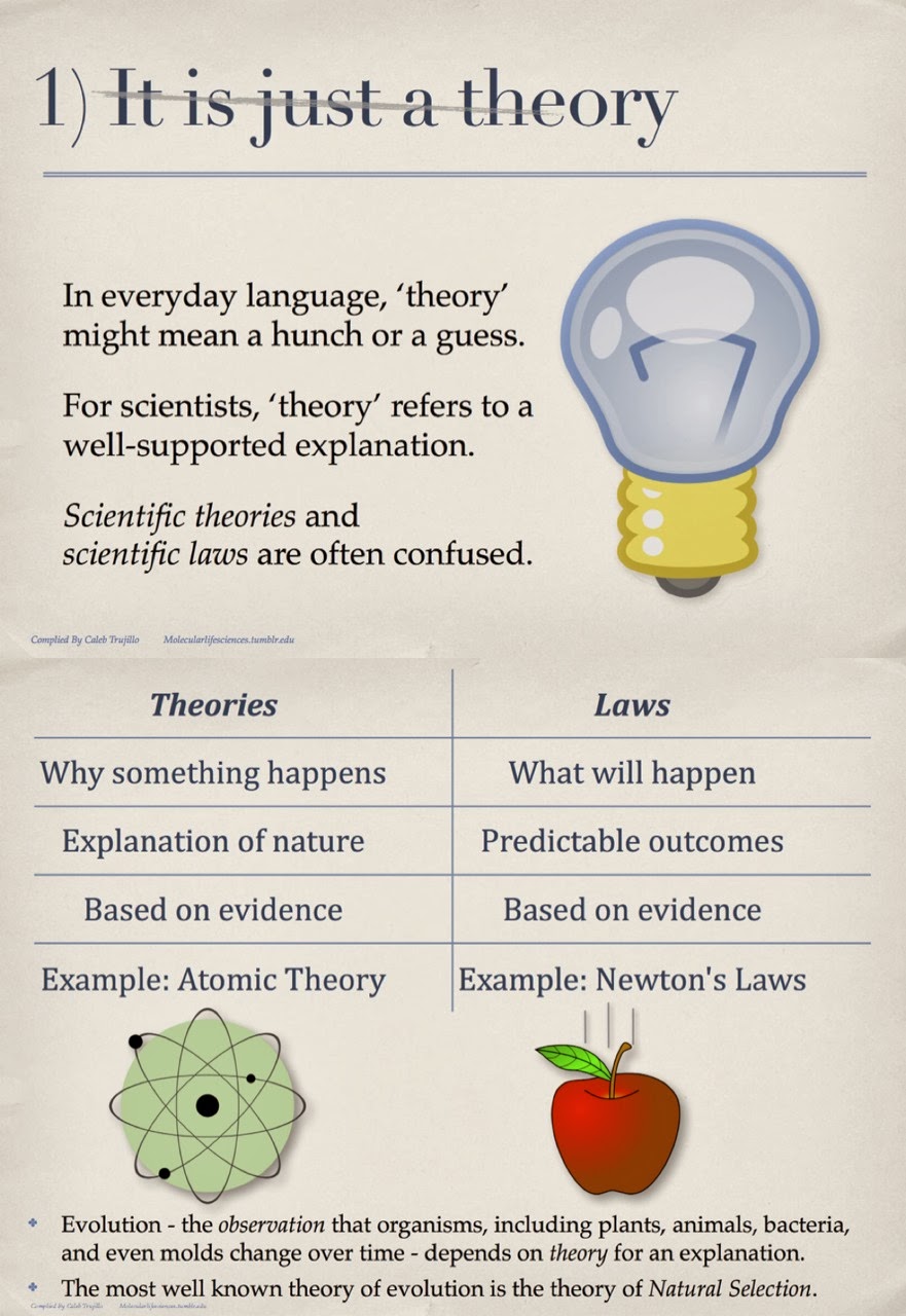 Progressive History Teacher: Top 5 Misconceptions About Evolution