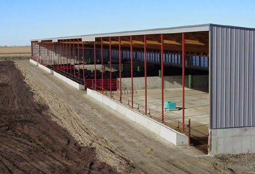 Lester Buildings blog: Where’s the Beef? In a Monoslope Beef Barn.