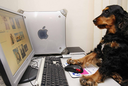 Iram Sotnas: INTELIGENCIA ARTIFICIAL