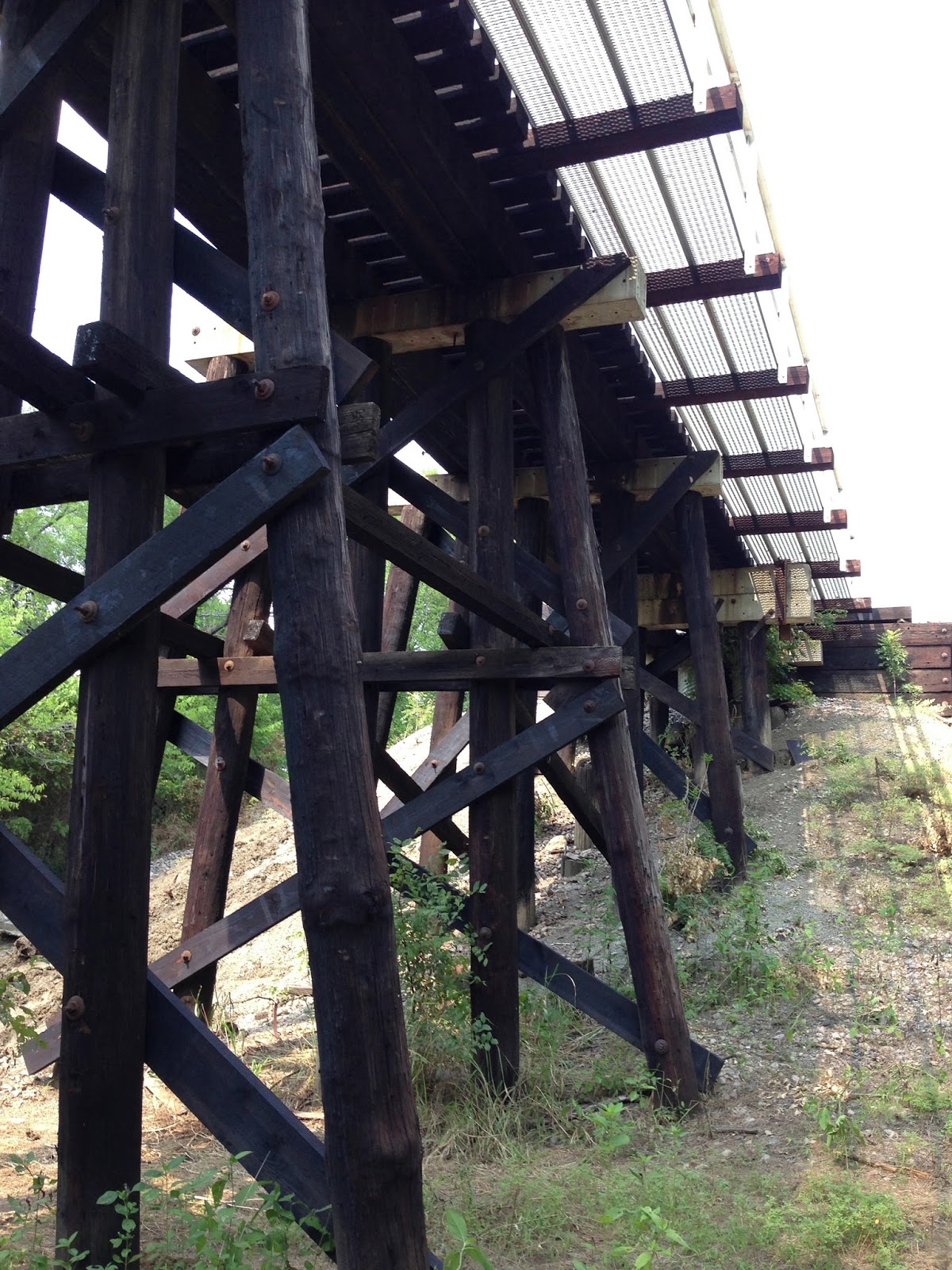 The Roaming Itinerant: L.B. Houston Nature Trail (Dallas, TX)