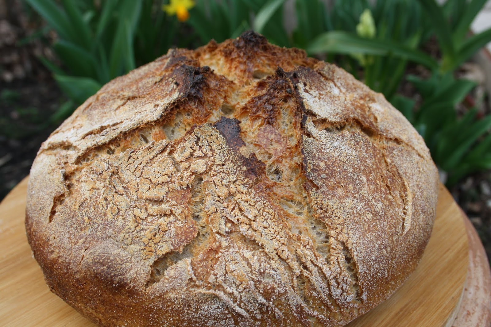 Kuchnia Gucia: Chleb wiejski całonocny jasny