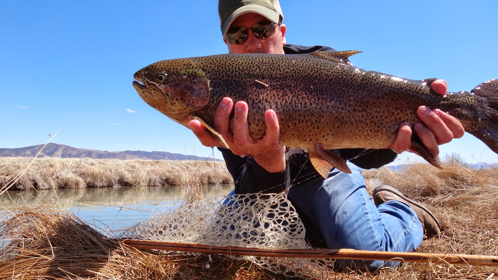 The Fly Syndicate: Fly Fishing Northern Nevada - The Trifecta