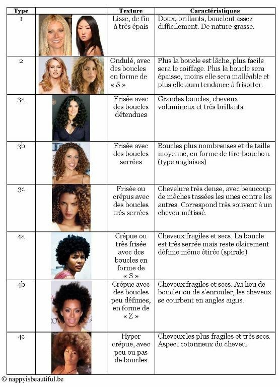 Pomo: 1er article: Les types de cheveux