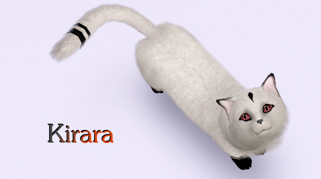 My Sims 3 Blog: New Cats by Catlover800