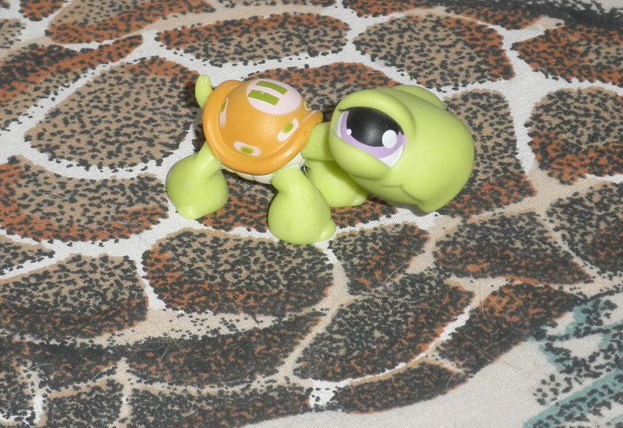 Collectomania: LPS Turtles