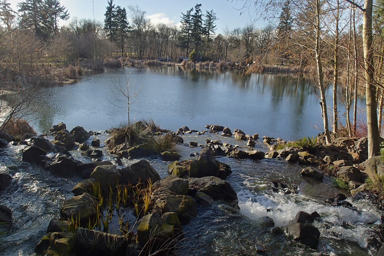 Casing Oregon: A Stop Along the Way: Talking Water Gardens