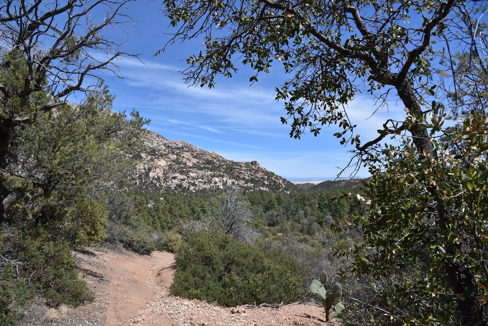 Arizona Hiking: CLARK SPRING TRAIL #40