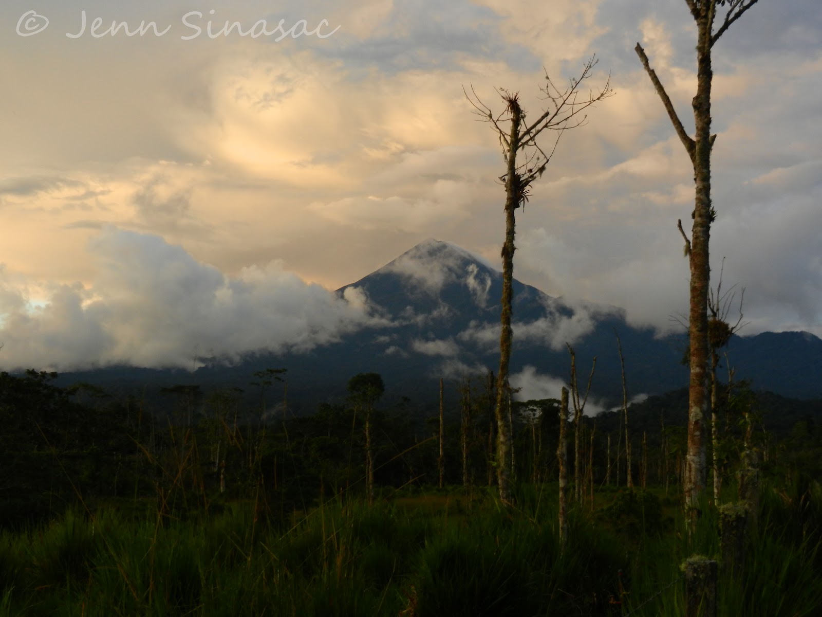 Experience Nature: Eastern foothills of Ecuador - Sumaco Biosphere Reserve