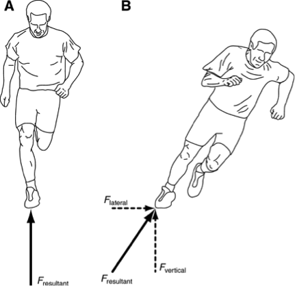 Physics 111: Fundamental Physics I: Why Running on the Curve of a Track ...