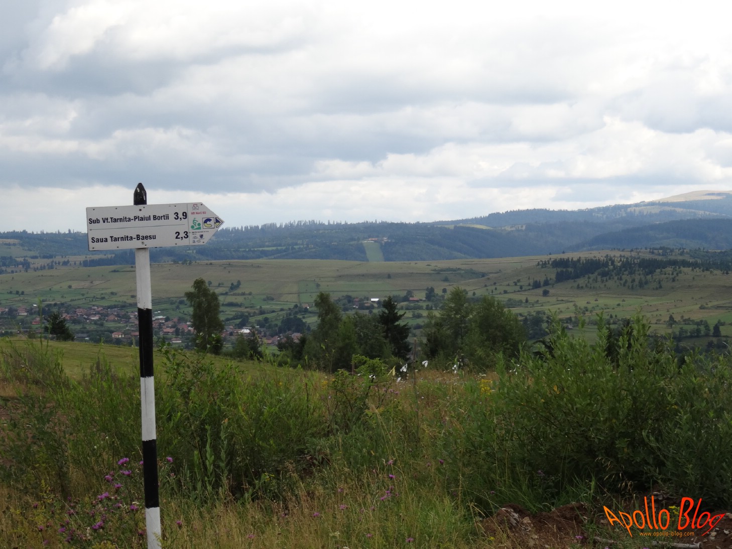 Apollo Blog: Toplita 03.08.2016