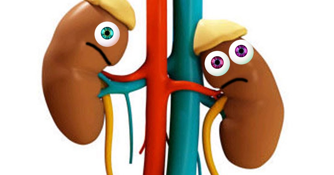 En la casa en obres.: 6- Incís i ronyons