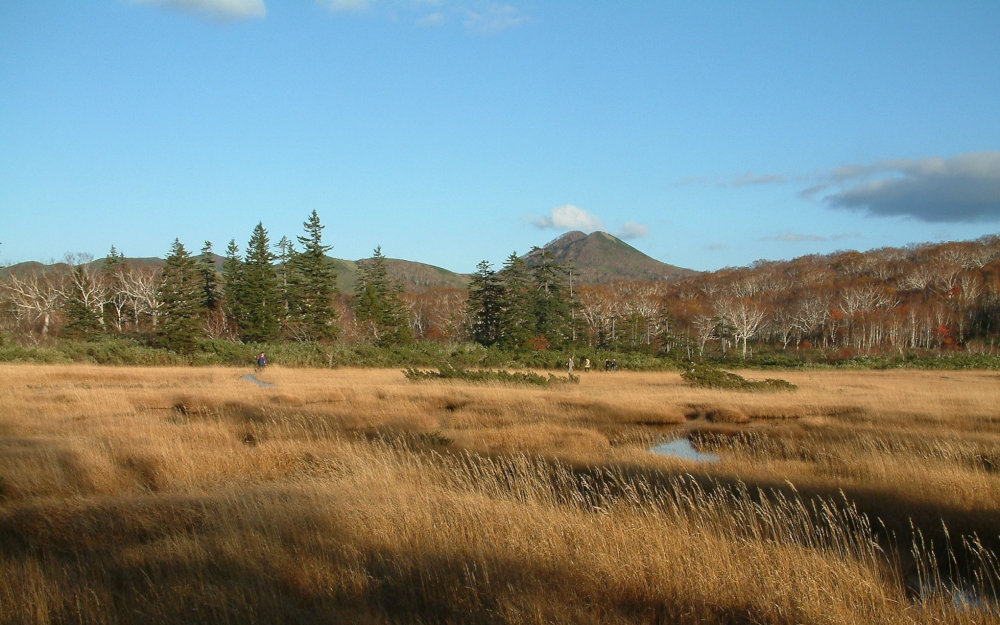SHOTs rambling Japan: Shinsen-numa Marsh in Niseko (Hokkaido)