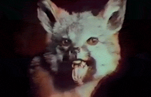 Triumph of a Man Called Da-Da: The Wolf of Allendale/Hexham Skull ...