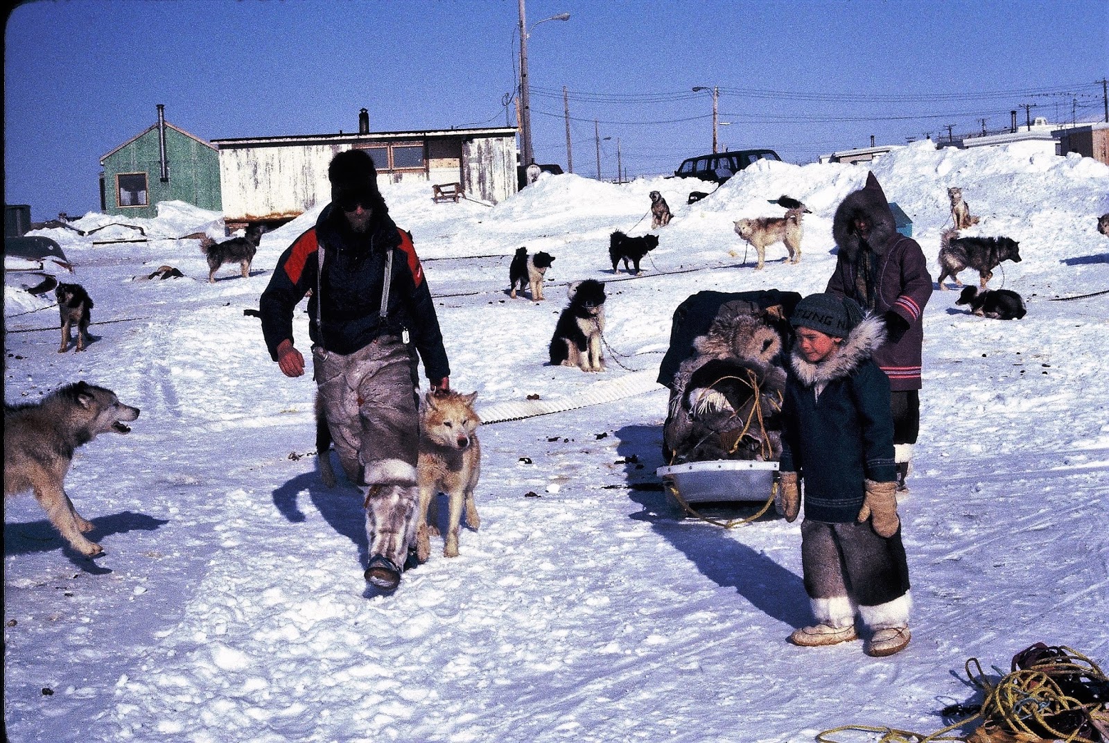 Bob McKerrow - Wayfarer: Dog sledding in the Arctic and Antarctic
