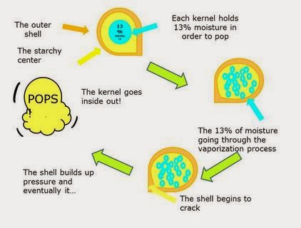 Purua 007 Learning Space: How does pop corn pop.