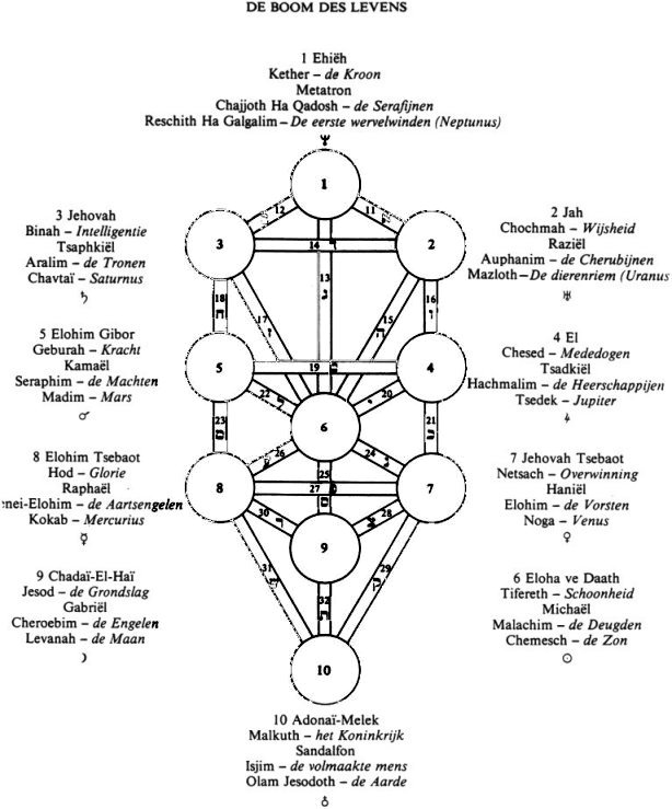 wild card: tree of life-το δέντρο των θαυμάτων