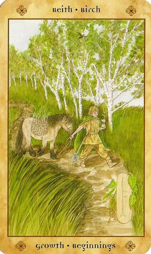 Tarot Notes: REVIEW: Voice of the Trees