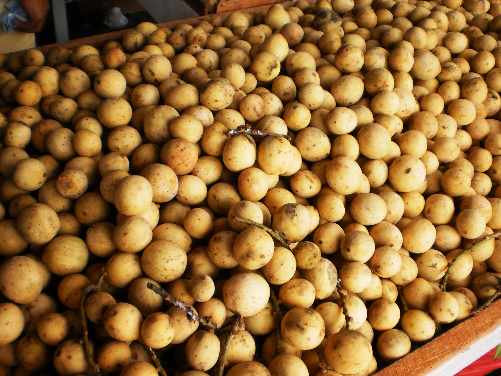 Fruit Warehouse: Langsat ( Lansium domesticum )