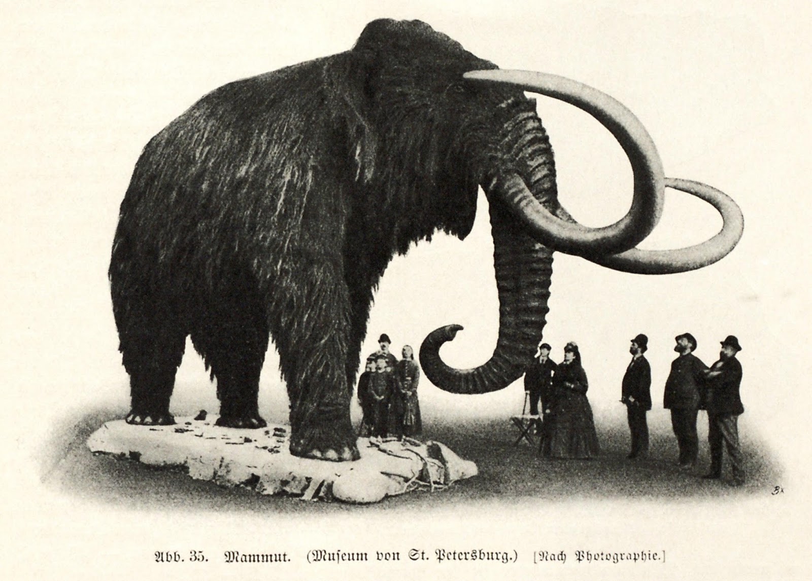 Data Deluge: Mammut (1912)