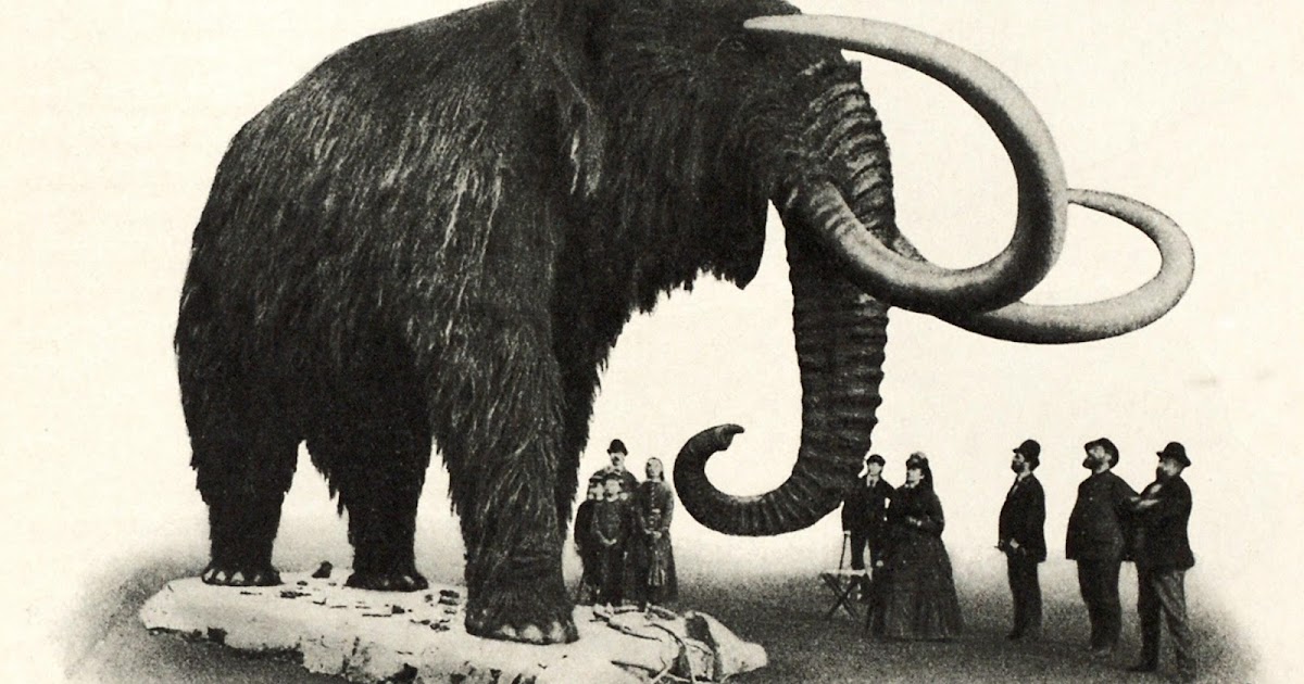 Data Deluge: Mammut (1912)