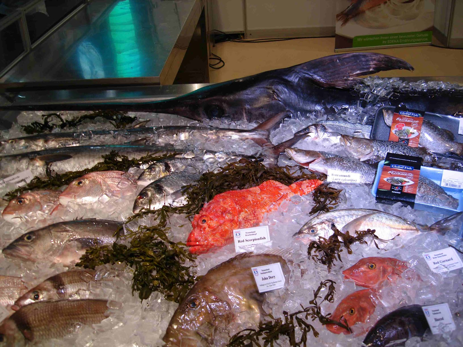 bushcooks kitchen: fish international in Bremen