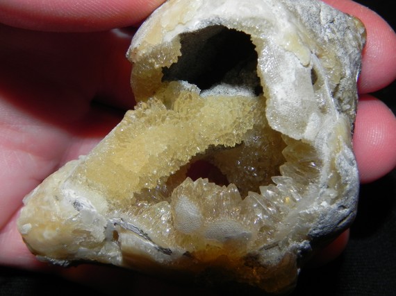 Rock Hard Fossils: Calcite Replacement of Fossils