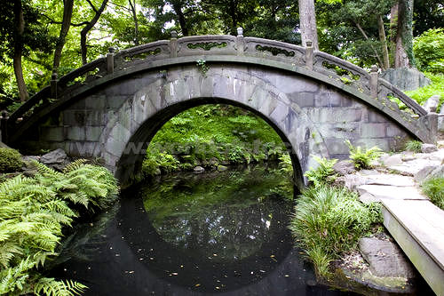 Galileo Feynman: Japanese Bridges